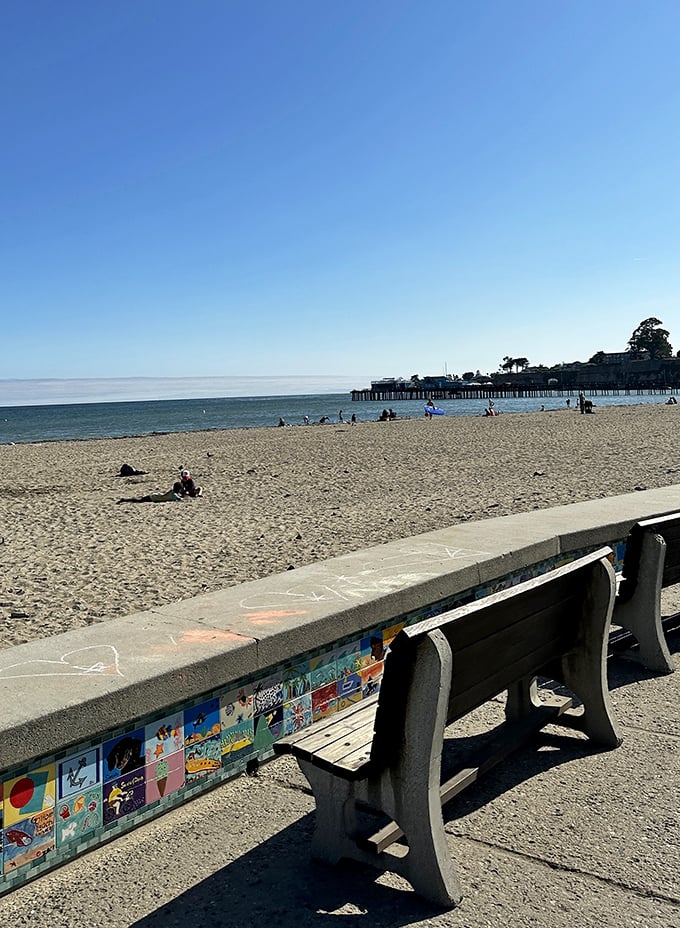 Capitola's main beach offers that perfect California combination—golden sand, blue water, and benches for those of us who've earned a rest.