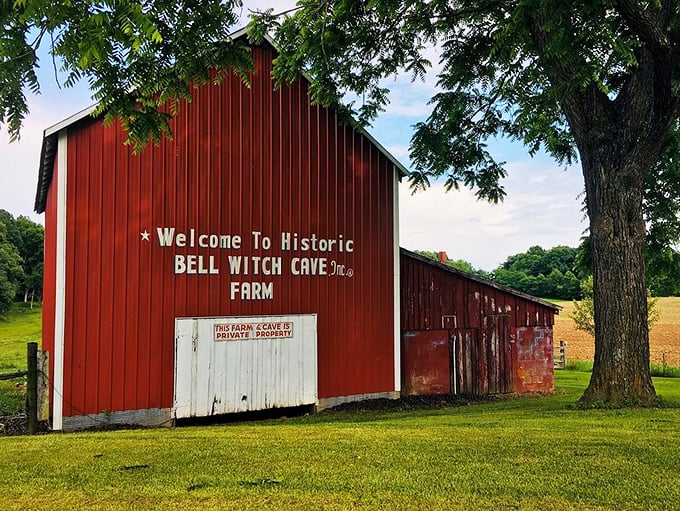 The iconic red barn welcomes visitors to the historic property, its weathered paint telling stories before the tour even begins.