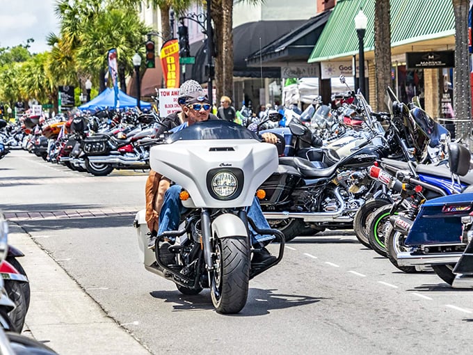 During Bikefest, Leesburg's quiet streets transform into a chrome and leather runway. One weekend a year, the town trades birdsong for engine roars.