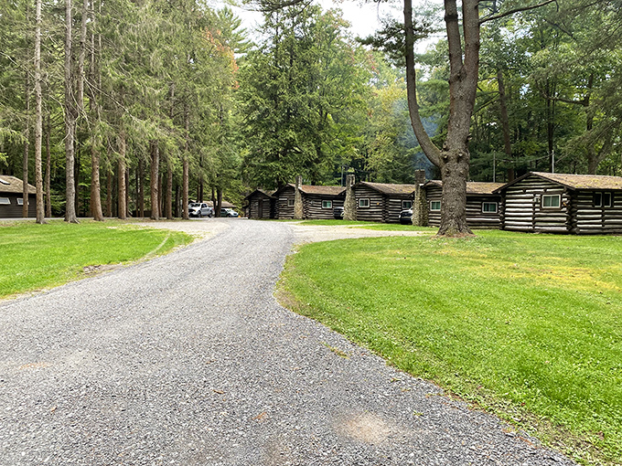 Rustic log cabins that make you wonder why we ever bothered inventing drywall. Authentic woodland living without sacrificing the roof.