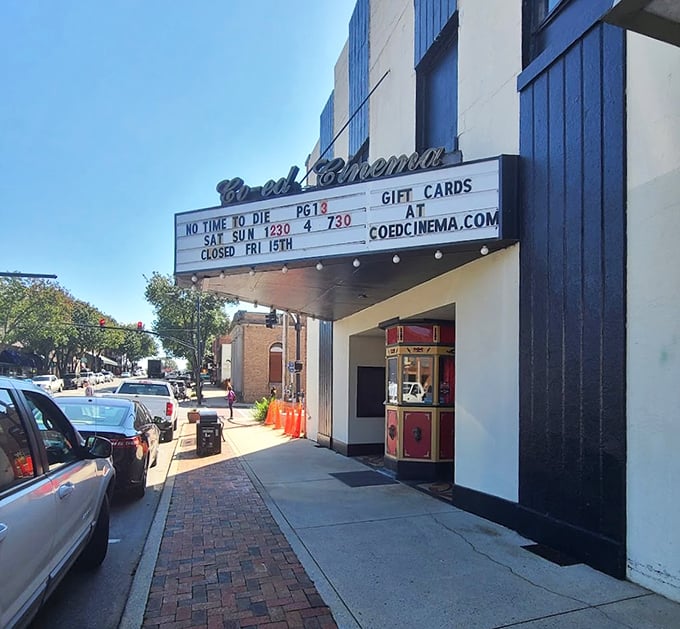The Co-Ed Cinema's classic marquee promises entertainment the old-fashioned way – without streaming subscriptions, buffering issues, or "skip intro" buttons.