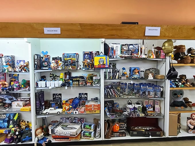 Pop culture paradise! From Star Trek to sports memorabilia, these shelves are where childhood memories come with price tags attached.