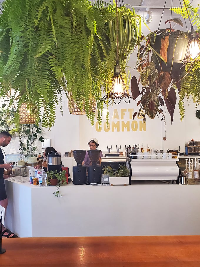 Hanging ferns create nature's chandelier effect – the ceiling garden bringing the outside in without the Florida humidity tagging along.
