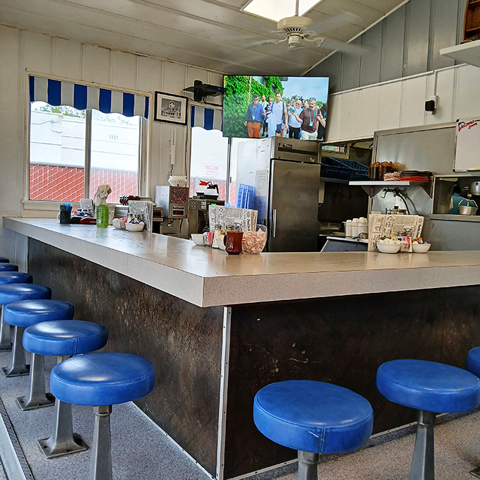 The counter—where solo diners find community, regulars claim their territory, and blue stools have supported generations of hungry San Pedrans.