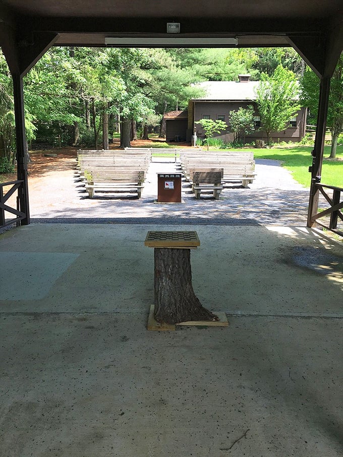 Nature's amphitheater – where the only performance review is how well you toast your marshmallows.