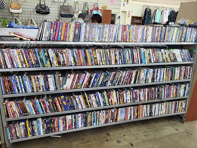The DVD library rivals your streaming subscriptions, minus the monthly fees. Physical media never asks for your password or suffers from buffering.