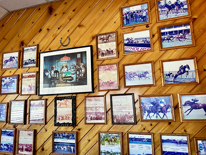 The wall of horse racing memorabilia tells you everything – this place appreciates tradition, legacy, and picking winners.