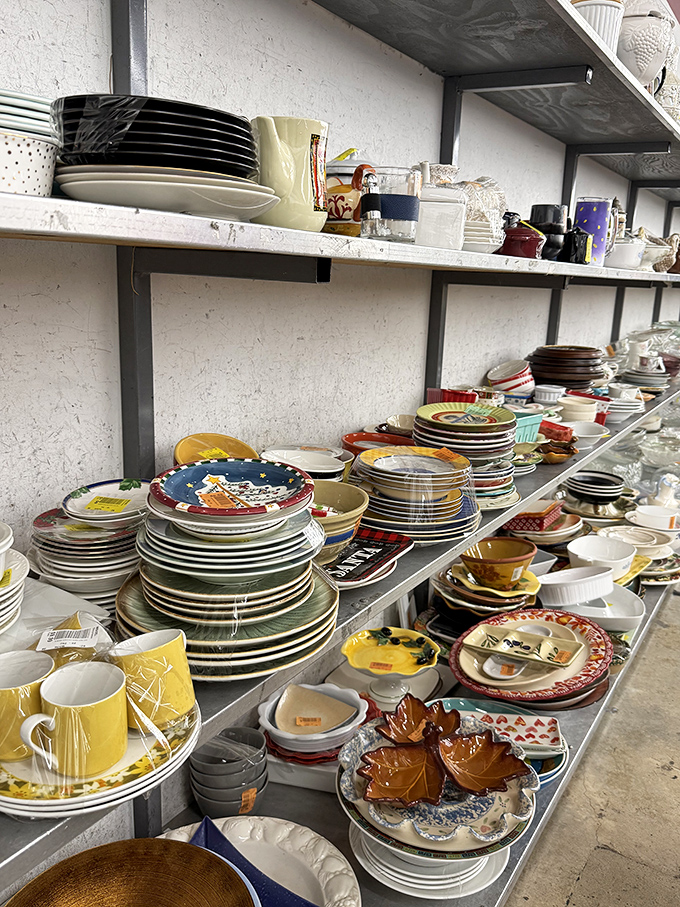 Plates with personality and mugs with stories to tell—each piece of dishware holds the promise of conversations around future dinner tables.