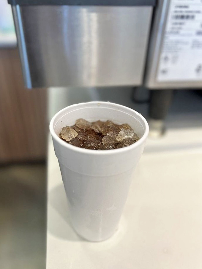 The humble styrofoam cup—unsung hero of sandwich accompaniment. Those ice cubes are working overtime in the Florida heat.