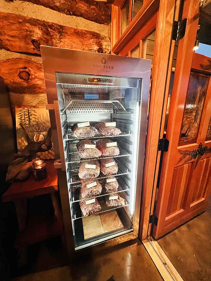 Meat aging isn't just science—it's art. This dry-aging refrigerator is where patience transforms good steaks into the stuff of carnivorous dreams.
