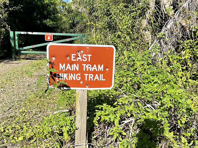 The East Main Tram trail beckons with promises of wilderness encounters. Adventure lies beyond that gate—bug spray strongly advised.