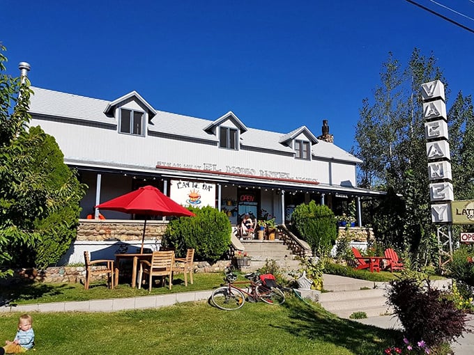 Latte Da Coffee Cafe offers the perfect blend of caffeine and charm – the ideal fuel-up spot before tackling Tioga Pass's hairpin turns.