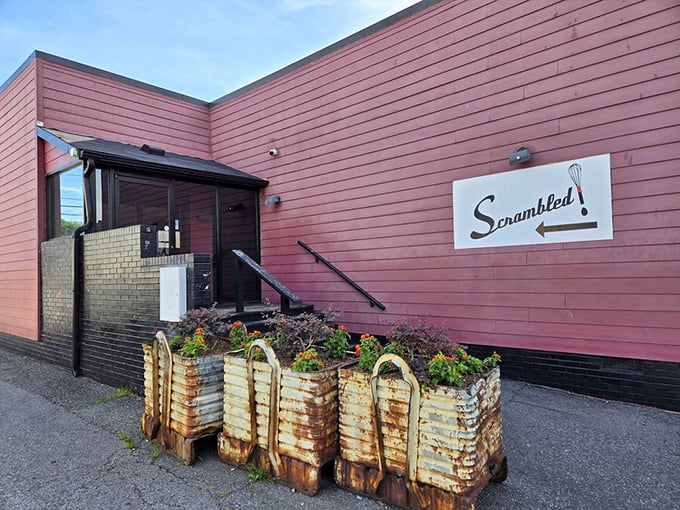 The side entrance features repurposed planters that look like they've lived several lives before finding their forever home at Scrambled.
