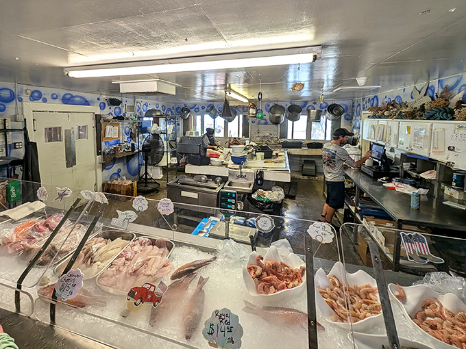 From ocean to plate in record time—the display case showcases today's catch with transparent freshness.