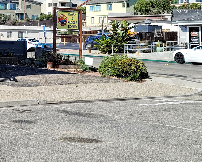 Signs for kayak rentals beckon adventure-seekers—because seeing Morro Bay from water level is like discovering it all over again.