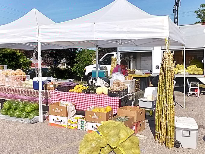 Farm-fresh produce under pristine white tents – where watermelons, sugarcane, and local vegetables remind us that flea markets feed more than just our collecting habits.