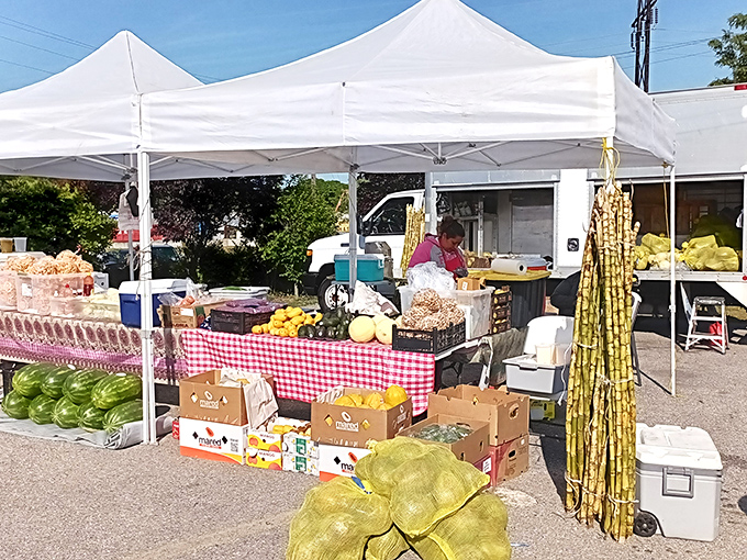 Farm-fresh produce under pristine white tents – where watermelons, sugarcane, and local vegetables remind us that flea markets feed more than just our collecting habits.