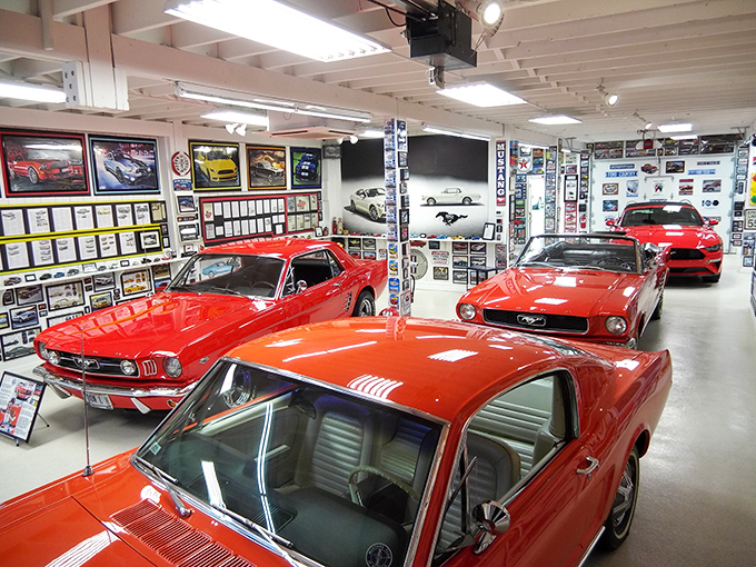 Classic American muscle gleams under careful preservation at the Halderman Museum. These aren't just cars—they're time capsules on wheels.