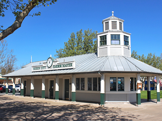 The Harbor Master's Office—where nautical dreams get their paperwork and weekend captains receive their daily dose of local wisdom. 