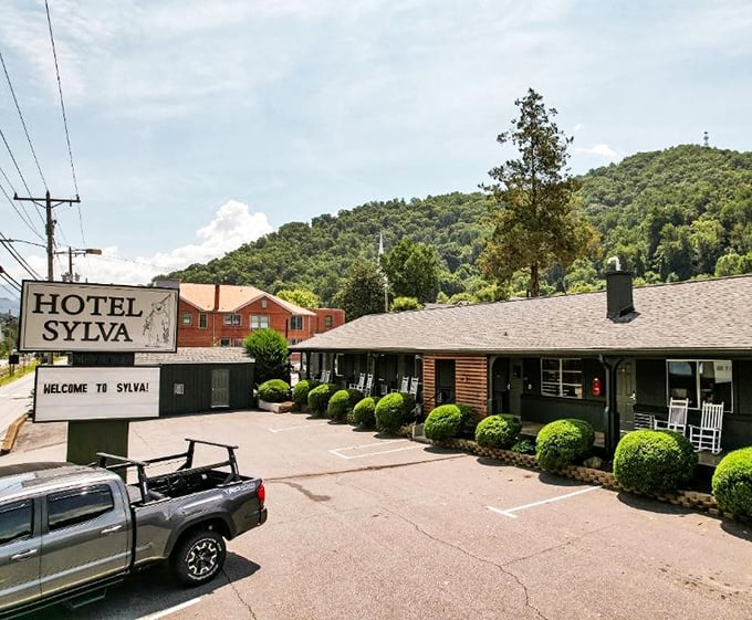 Hotel Sylva welcomes visitors with classic mountain hospitality and rocking chairs that practically beg you to sit a spell.