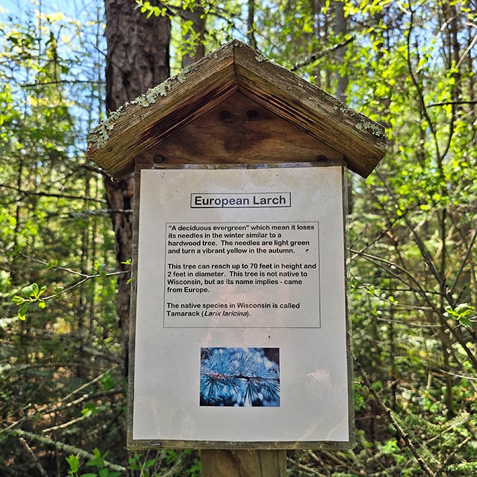 11. identification sign