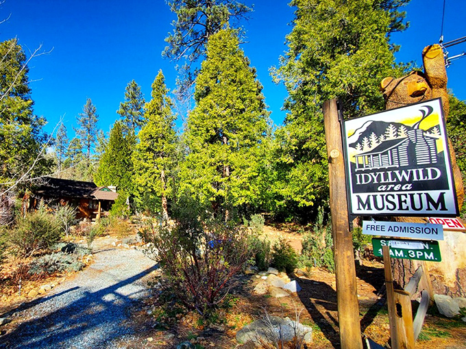The Idyllwild Area Museum welcomes history buffs with free admission – proving that sometimes the best things in mountain life actually are free.