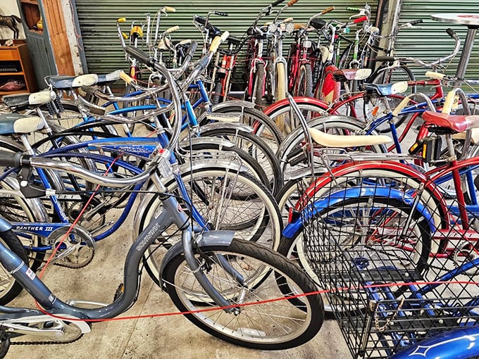 A bicycle graveyard or transportation rebirth center? These vintage cruisers await restoration heroes to bring them back to neighborhood glory.