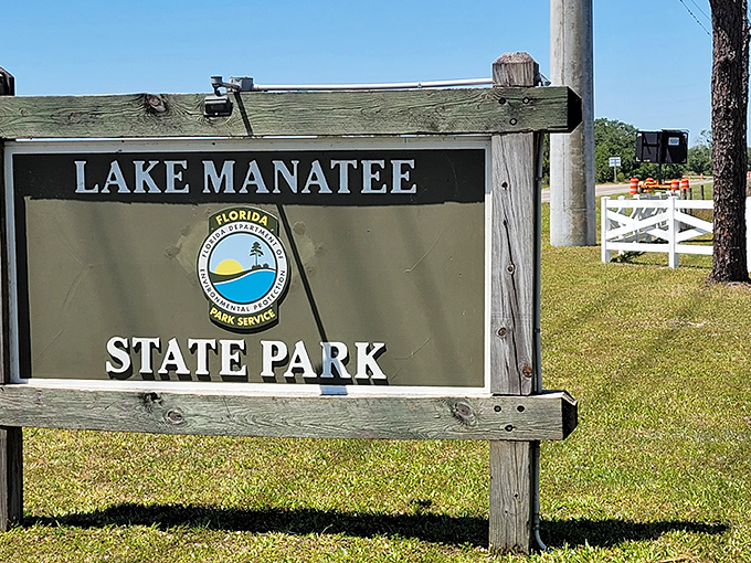 Lake Manatee State Park: where Floridians go to remember that not all of the state's water contains chlorine or saltwater.