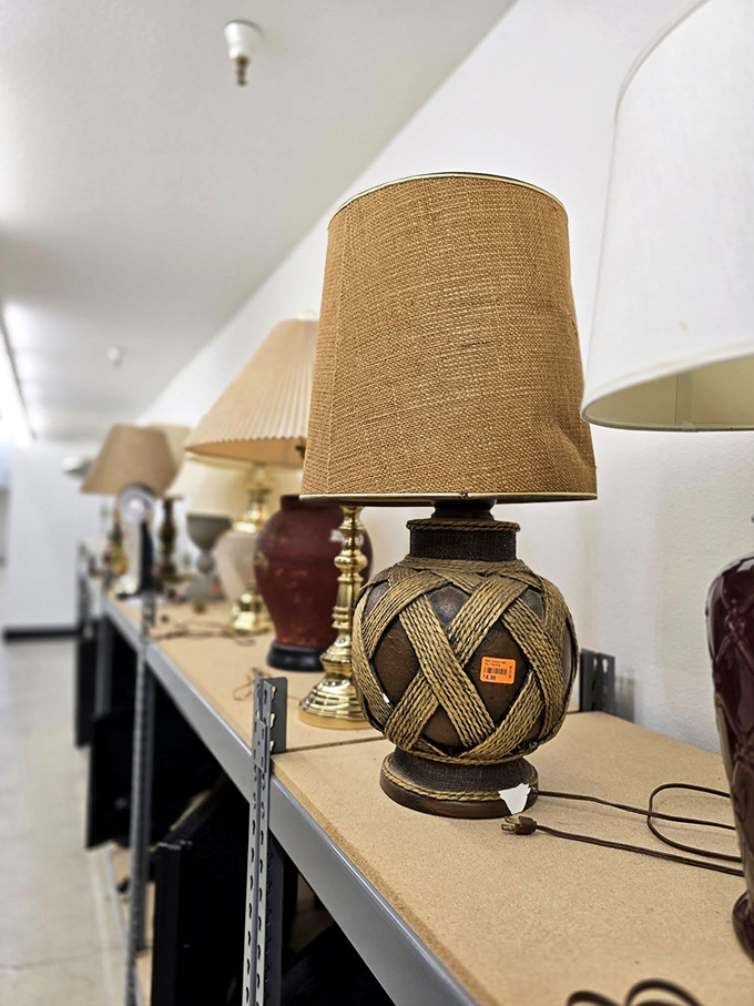 Lamp row glows with potential—that woven beauty could be the statement piece your living room has been desperately missing.