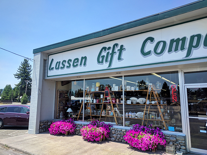 The Lassen Gift Company window display is like a treasure chest for grown-ups—proving souvenirs don't have to be tacky to be memorable.