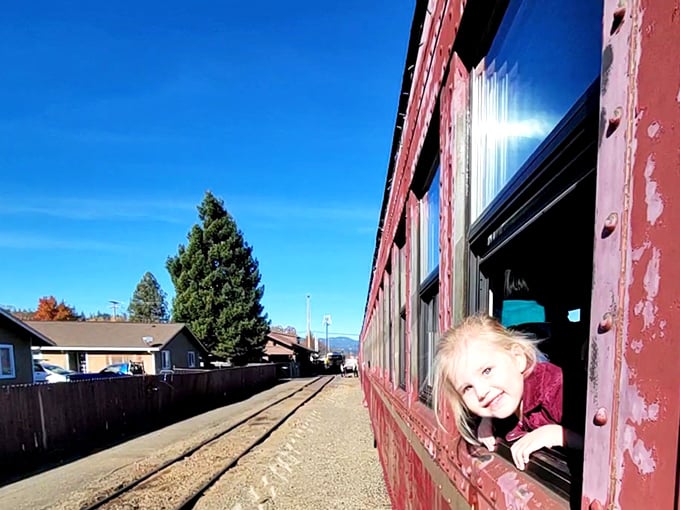 Childhood wonder framed perfectly—this little explorer discovers the magic of train travel, her expression worth more than any souvenir could ever be.