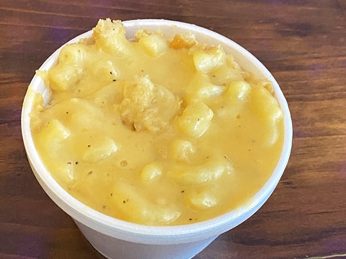 Mac and cheese that doesn't apologize for being exactly what it is—comfort in a cup, with each pasta piece perfectly coated in liquid gold.