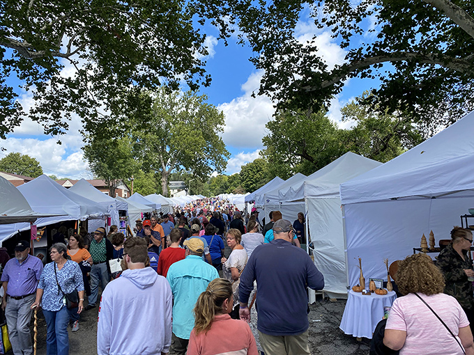 The Madison Chautauqua transforms streets into galleries, where art isn't just viewed—it's experienced amid the buzz of community connection.