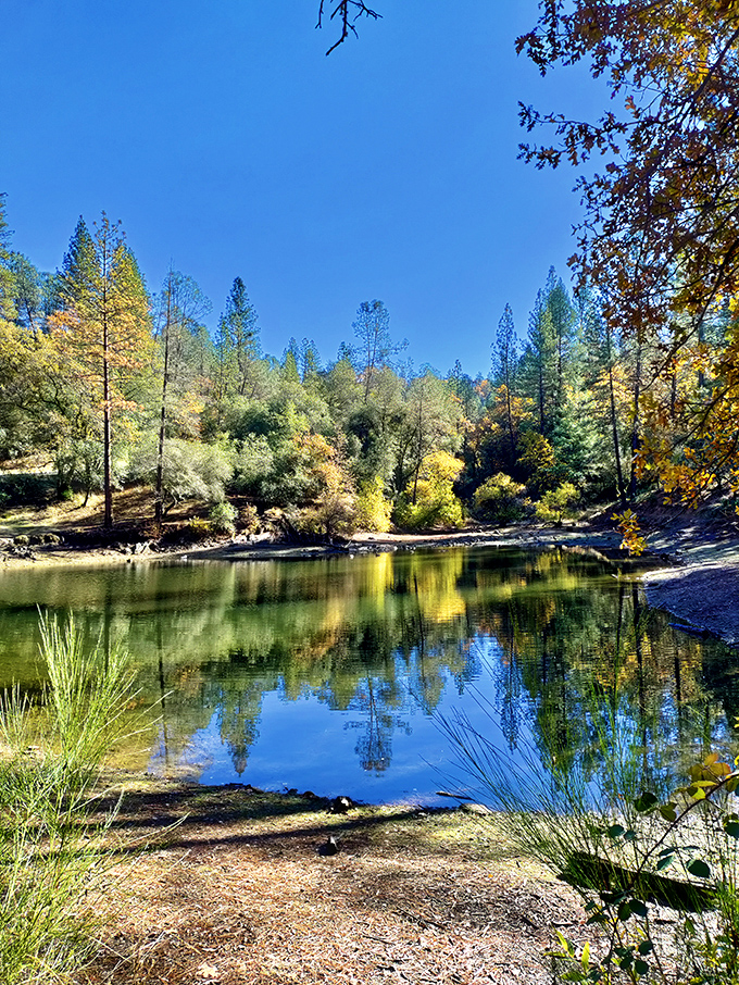 Placerville's surrounding nature offers mirror-perfect reflections in hidden swimming holes—Mother Nature's version of an Instagram filter, but better.