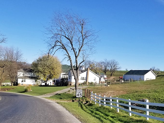 White picket fences aren't just for show here—they're part of daily life. This quintessential Amish Country home showcases the simple elegance of rural living.