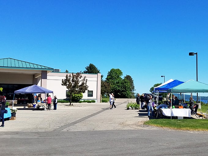 The farmers market isn't just shopping—it's social hour with benefits. Fresh produce and local crafts create the perfect excuse for community connection.