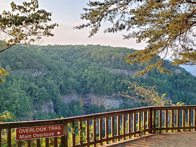 The Overlook Trail delivers exactly what it promises. Like truth in advertising, but with panoramic views instead of fine print.