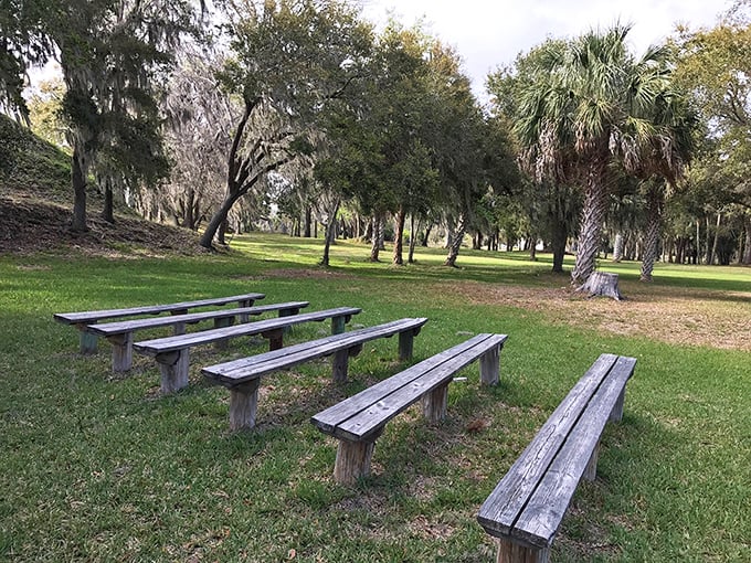 These benches have heard more contemplative sighs than a philosophy professor's office hours – perfect for pondering.