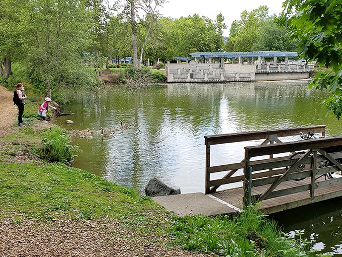 Pond-side moments that remind us some of life's simplest pleasures—feeding ducks and casting lines—remain timeless across generations.