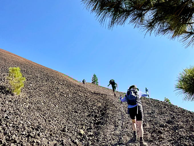 Hiking volcanic landscapes in nearby Lassen Park offers the kind of natural drama that makes reality TV seem painfully contrived.