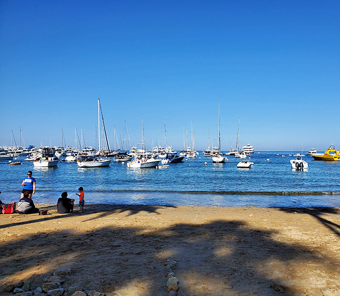 The simple pleasure of watching boats from shore—nature's television for those wise enough to change the channel from everyday life.