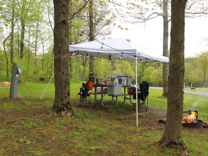 Picnic perfection achieved! A canopy, campfire, and forest dining room—just add friends and food for instant outdoor memories.