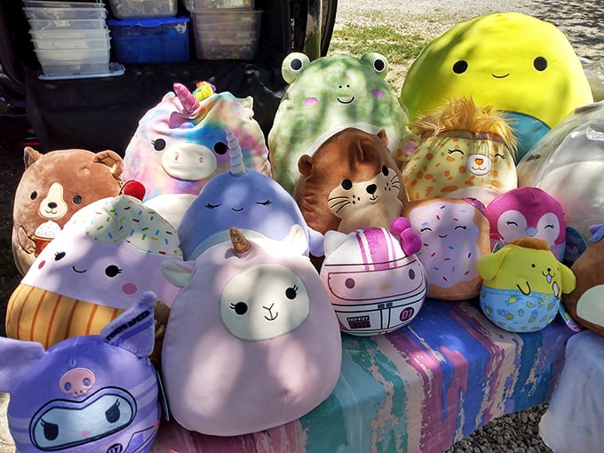 Plush companions seek new homes where hugs are appreciated and comfort never goes out of style.