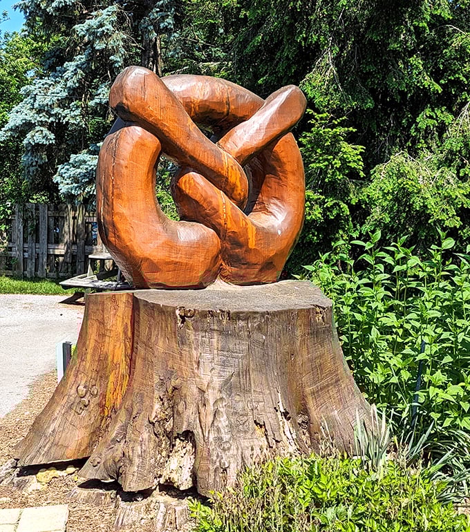 A wooden pretzel sculpture that captures the essence of this beloved snack. Art imitating food imitating art – it's pretzel inception!