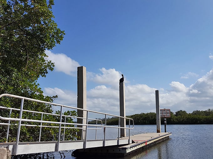 Where birds have better waterfront property than humans. This simple dock on the Indian River Lagoon offers peaceful launching for kayakers seeking manatee encounters.