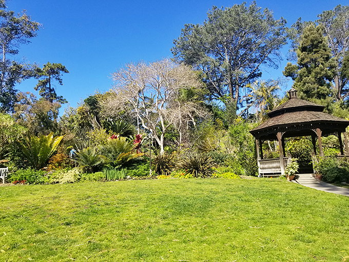The San Diego Botanic Garden's gazebo invites contemplation in a setting where plants from around the world hold their international summit.
