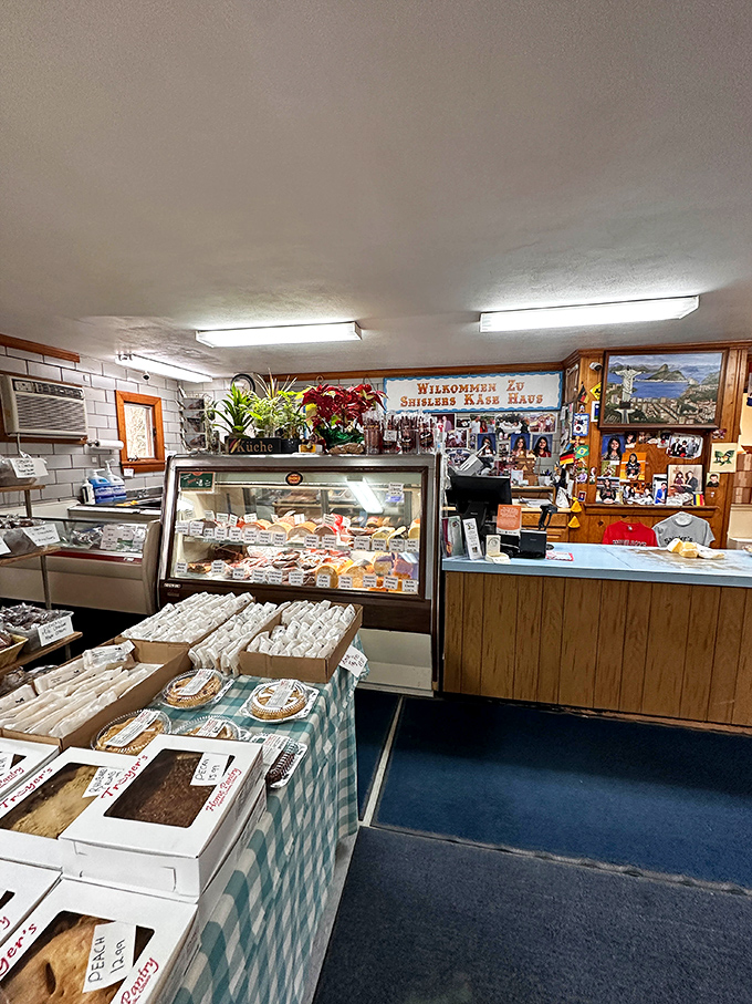 The service counter—where cheese dreams come true and diet plans go to die. That meat slicer has stories to tell.