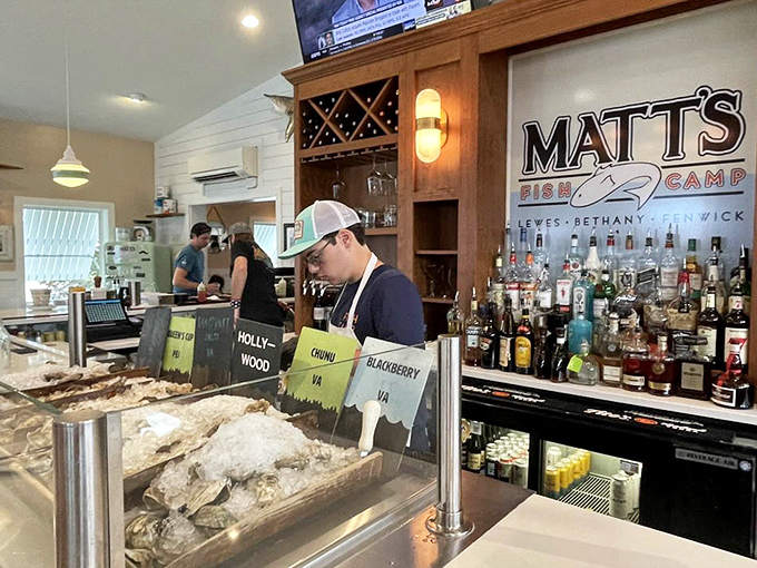 Fresh oysters on display like jewels in a case—except these treasures taste like the ocean and pair perfectly with cold beer.