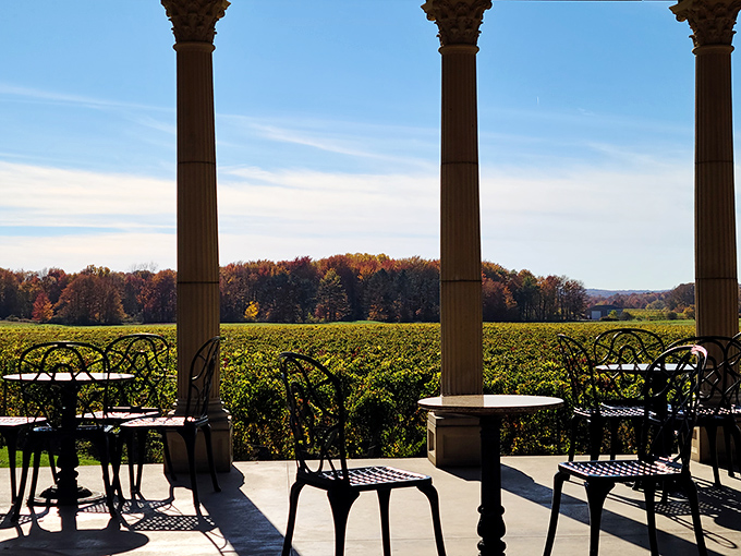 At South River Vineyard, those columns frame more than just vineyard views—they're portals to conversations that improve with every sip.