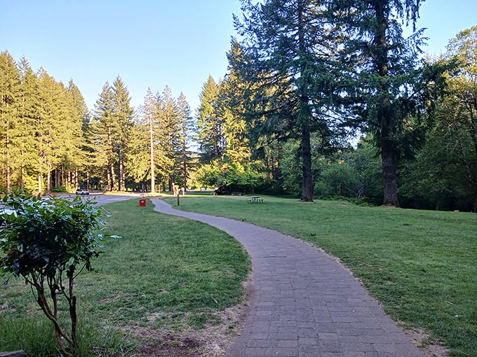 Where forest meets civilization: These peaceful pathways invite visitors to wander through Oregon's emerald paradise at their own pace.